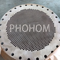 Bi-metal Cladding Tube Sheet